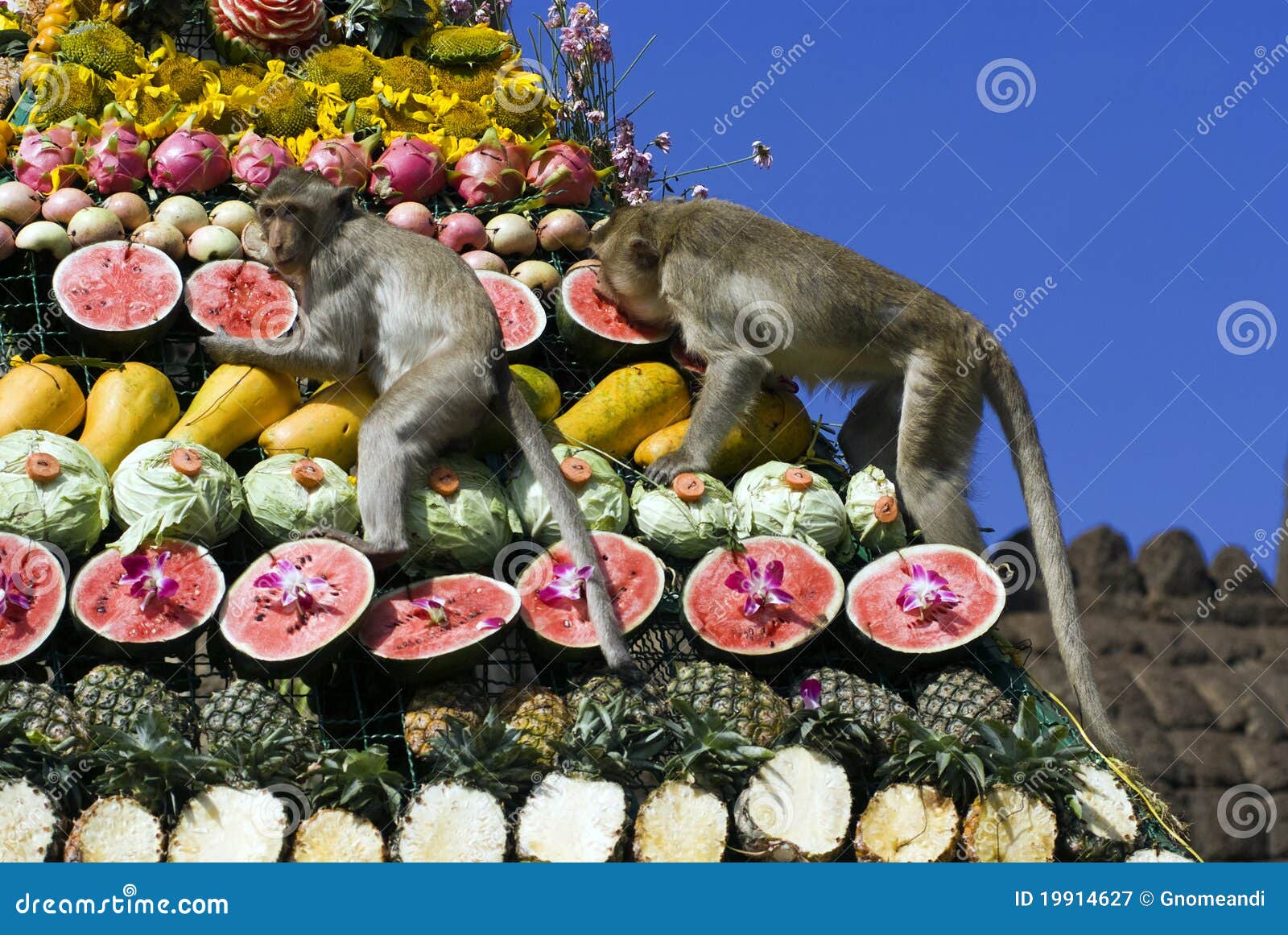 Monkeys Feast On Leaves At The Monkey Temple Or Hanuman Ji Temple In ...