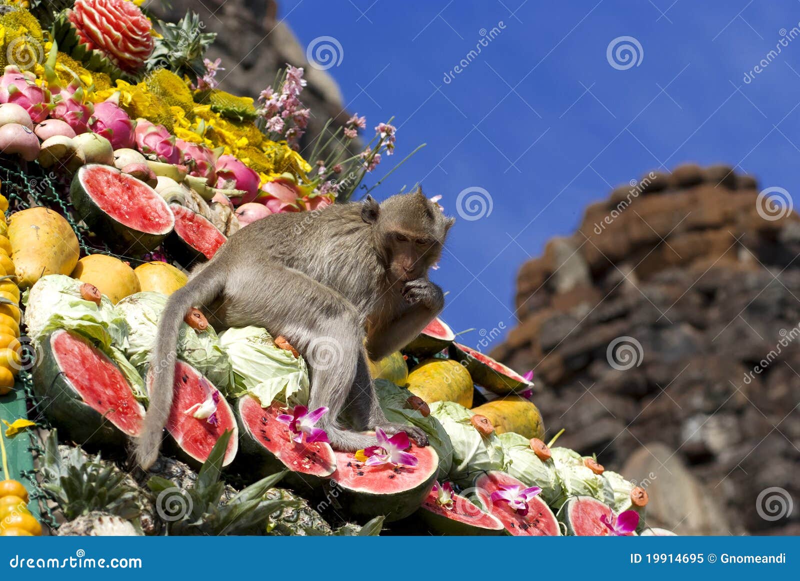 Monkeys Feast On Leaves At The Monkey Temple Or Hanuman Ji Temple In ...
