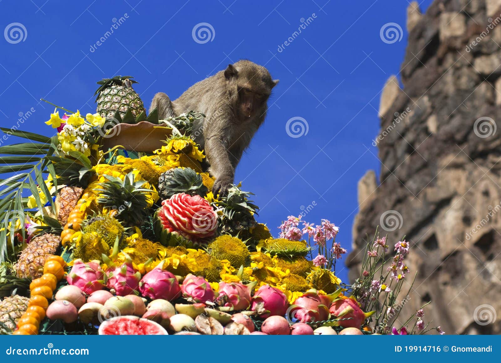 Monkeys Feast On Leaves At The Monkey Temple Or Hanuman Ji Temple In ...