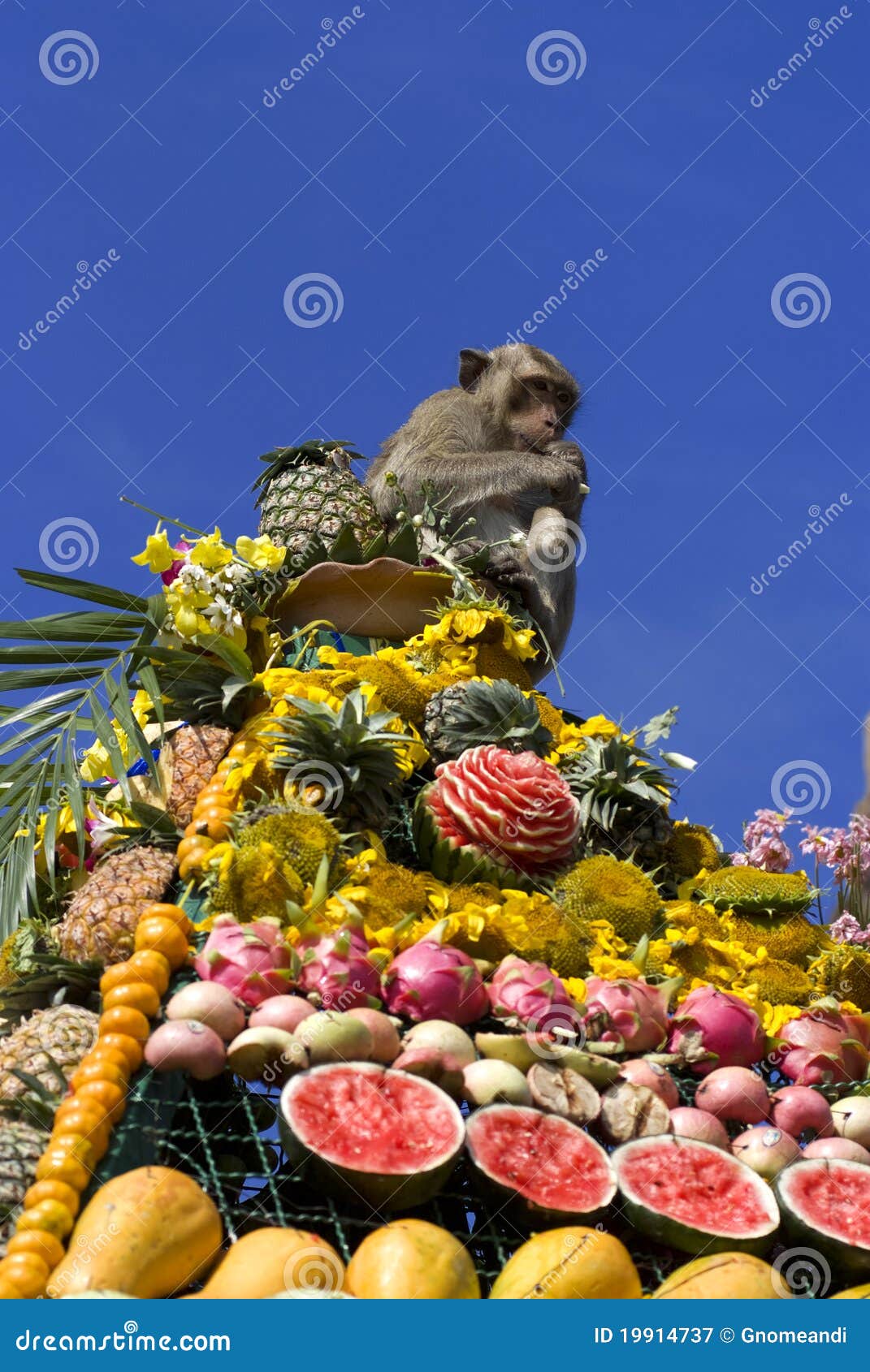 Monkey Buffet Festival in Thailand Stock Image - Image of monkey ...