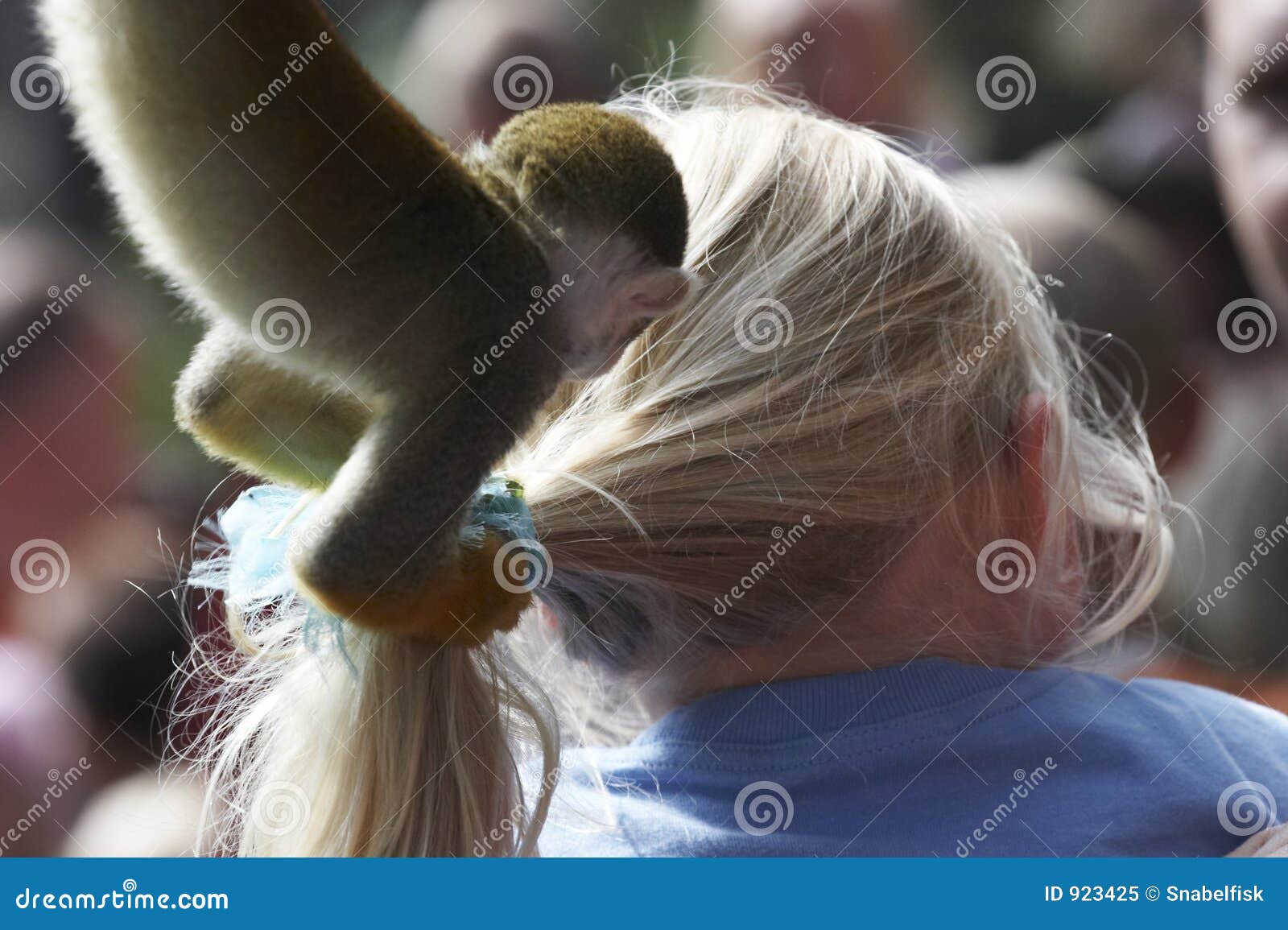 Monkey Business stock image. Image of play, summer, petting - 923425