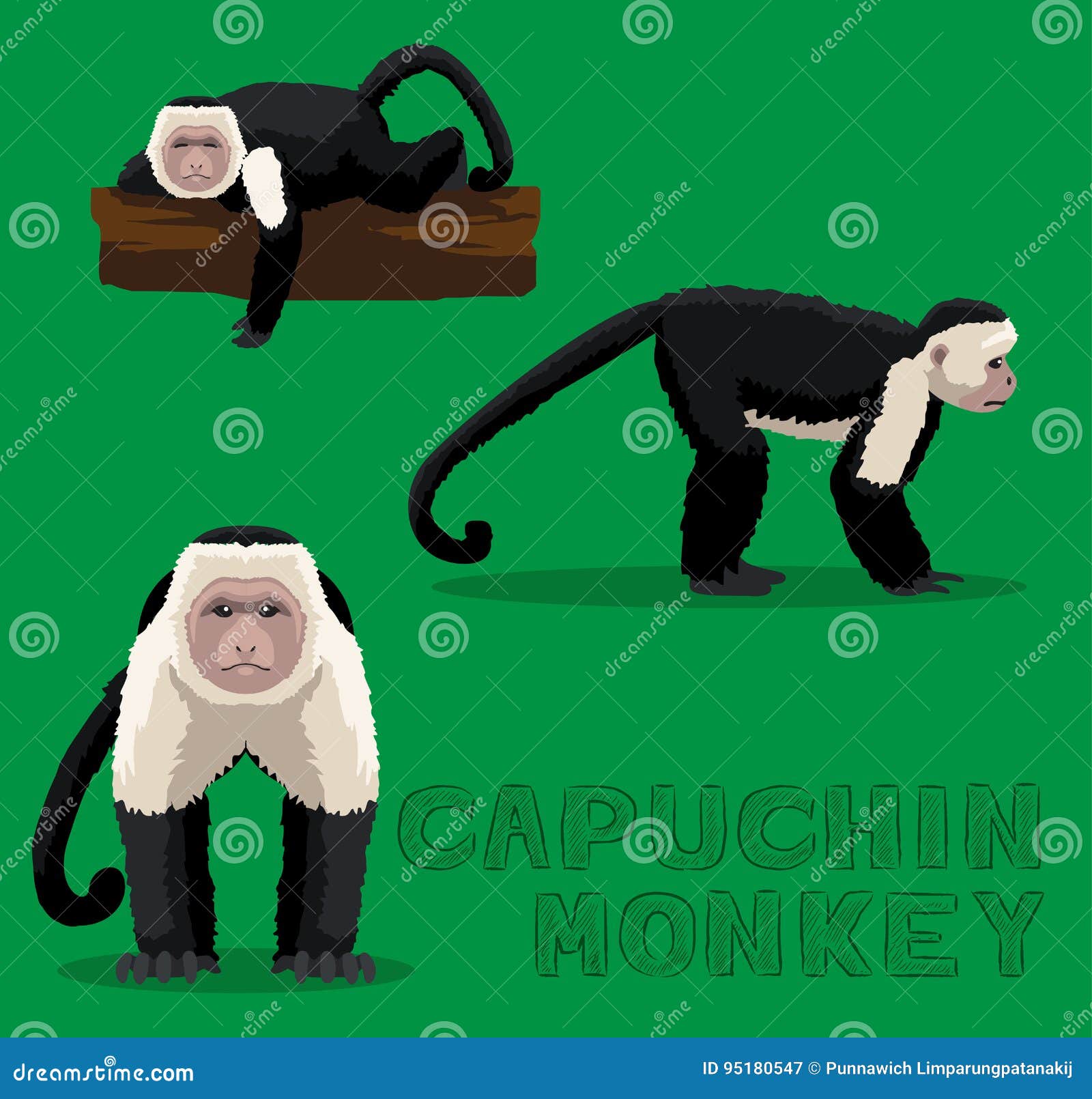 Monkey Capuchin Cartoon Vector Illustration Stock Vector - Illustration ...