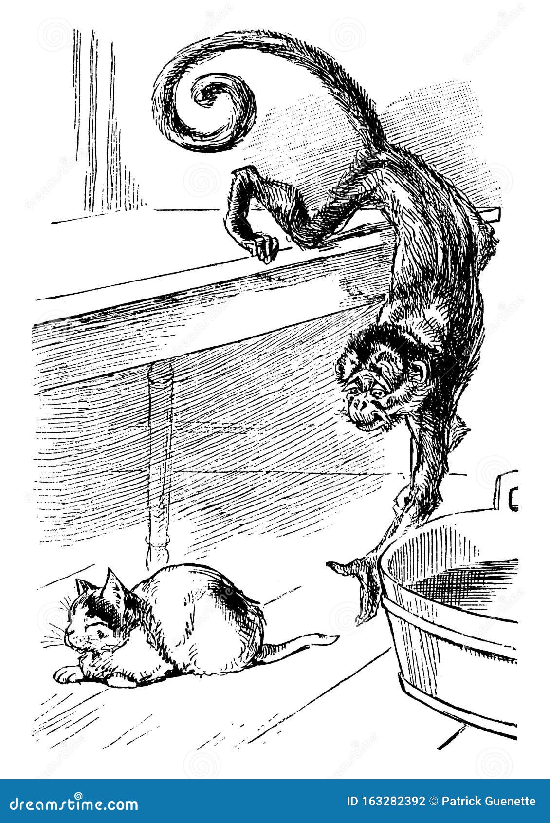 Monkey and Cat, Vintage Illustration Stock Vector - Illustration of ...