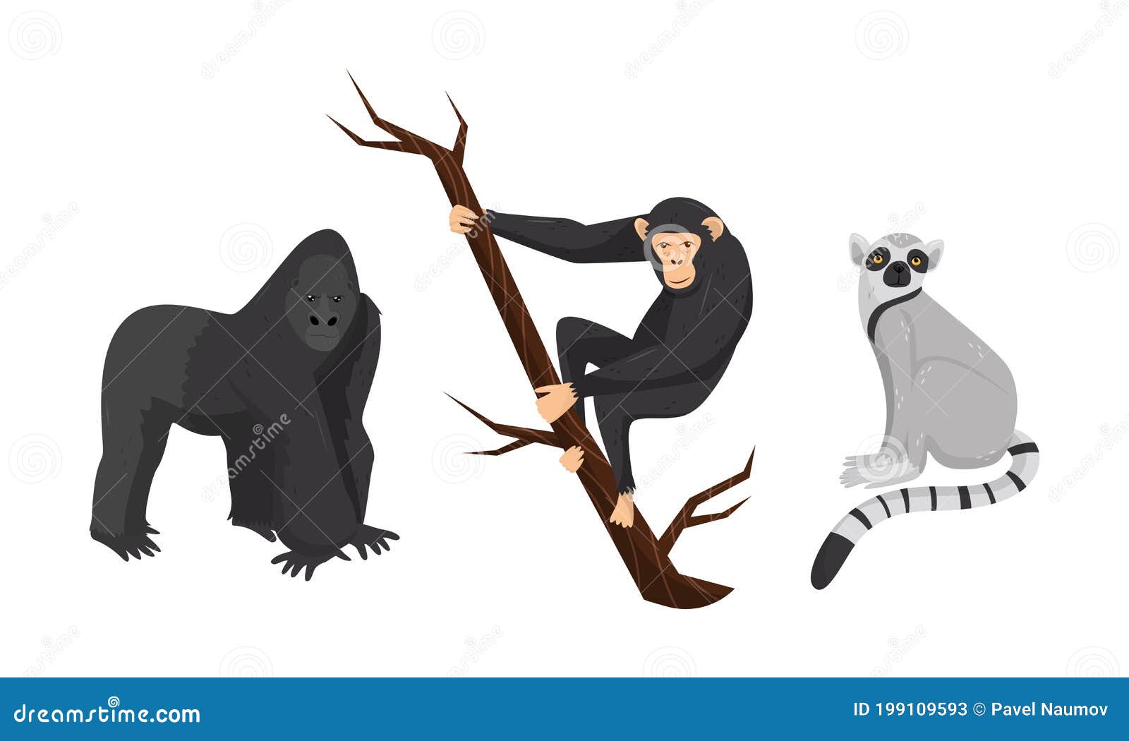 Chimpanzee Sitting On Rock, Drawing With Pattern For Coloring Cartoon ...