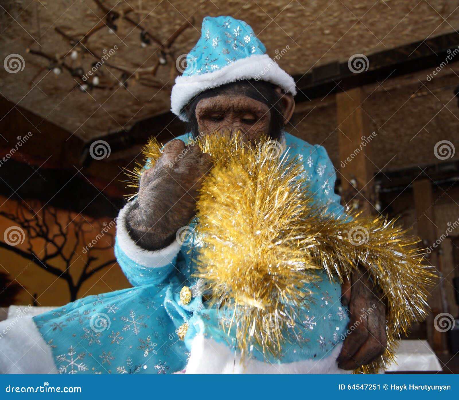 Real Monkey Next To A Statue Of Fake Monkeys At Ubud Monkey Forest ...