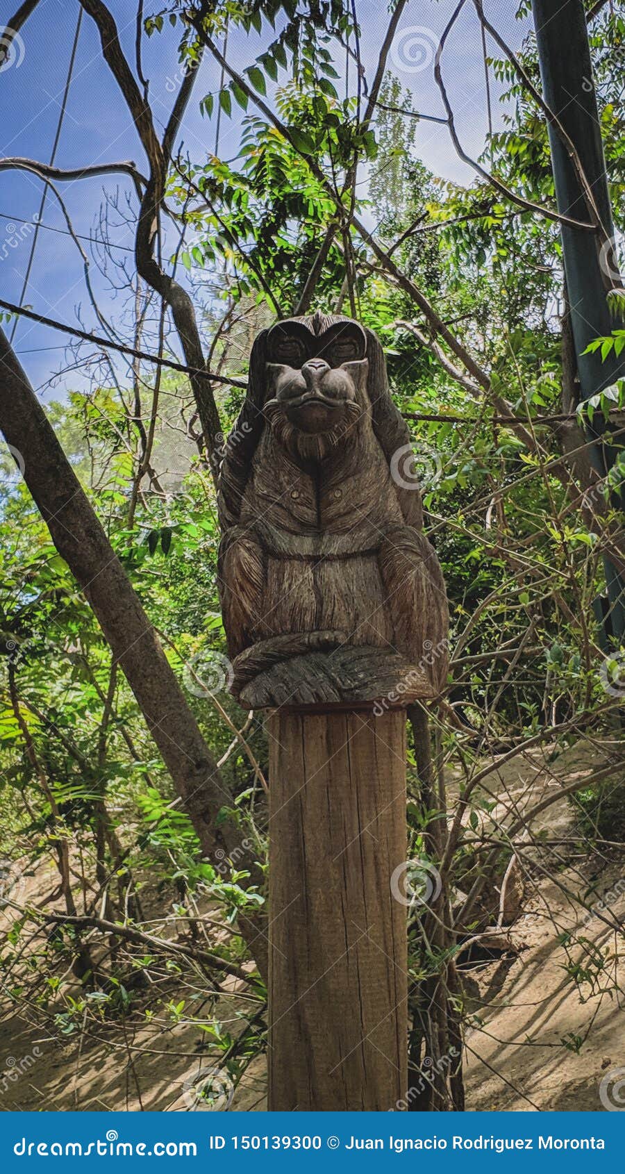 Monkey with covered ears stock photo. Image of pretty - 150139300