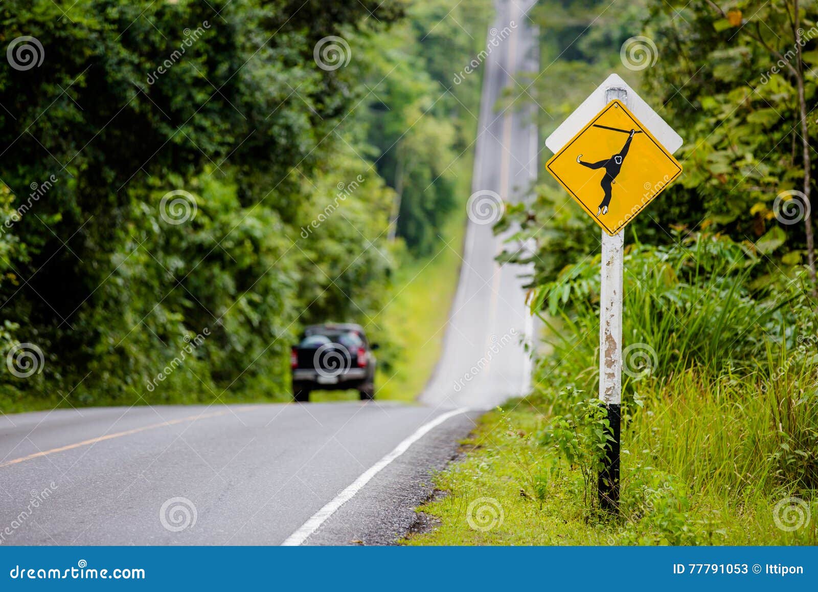 Monkey crossing sign stock image. Image of outdoors, sign - 77791053