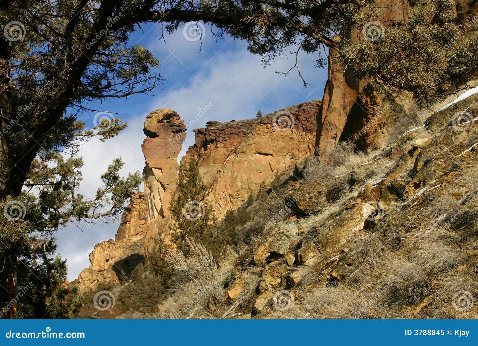 Monkey Face stock image. Image of smith, formation, oregon - 3788845
