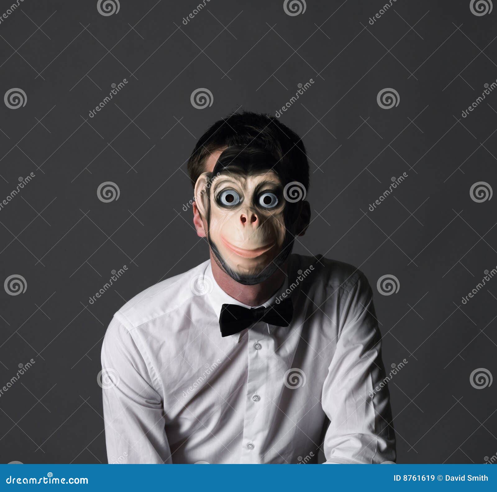 Monkey Face stock image. Image of looking, animal, face - 8761619