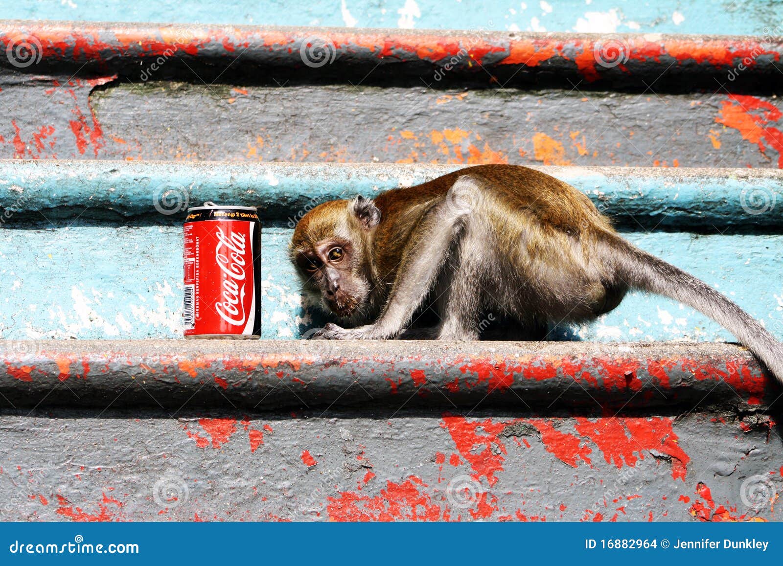 Monkey Face for Coca Cola editorial stock image. Image of kuala - 16882964