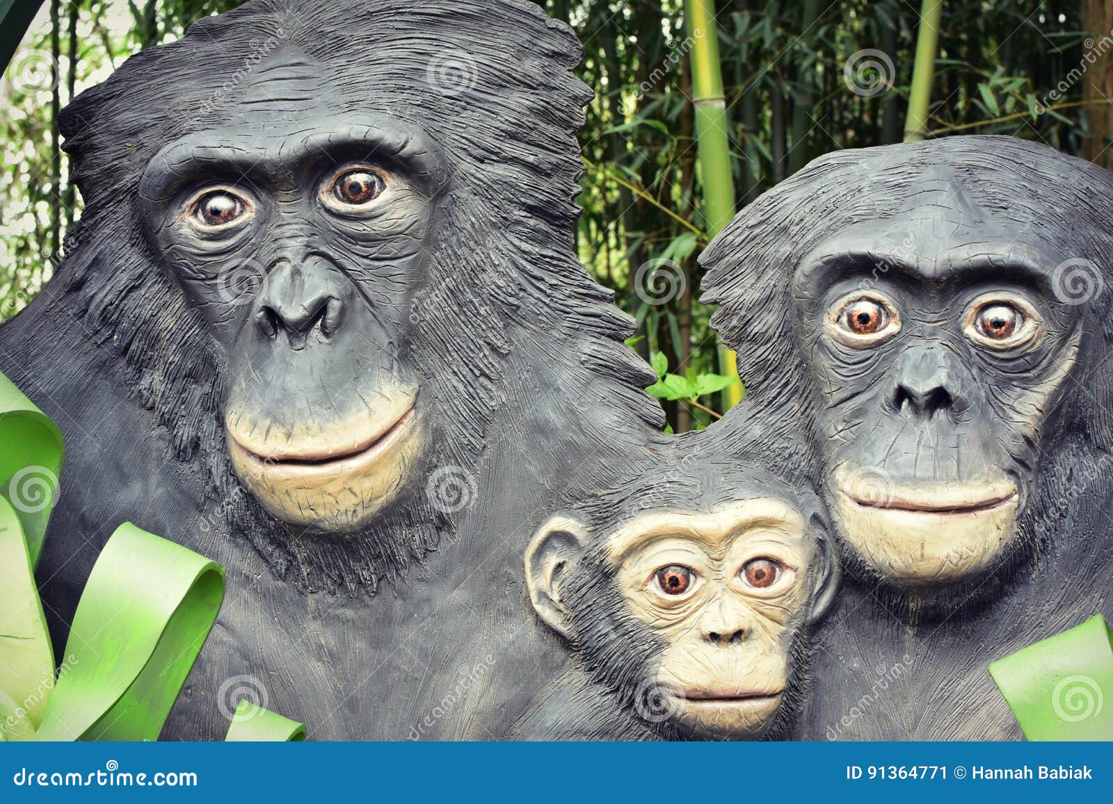 Monkey Family stock image. Image of eyes, family, black - 91364771