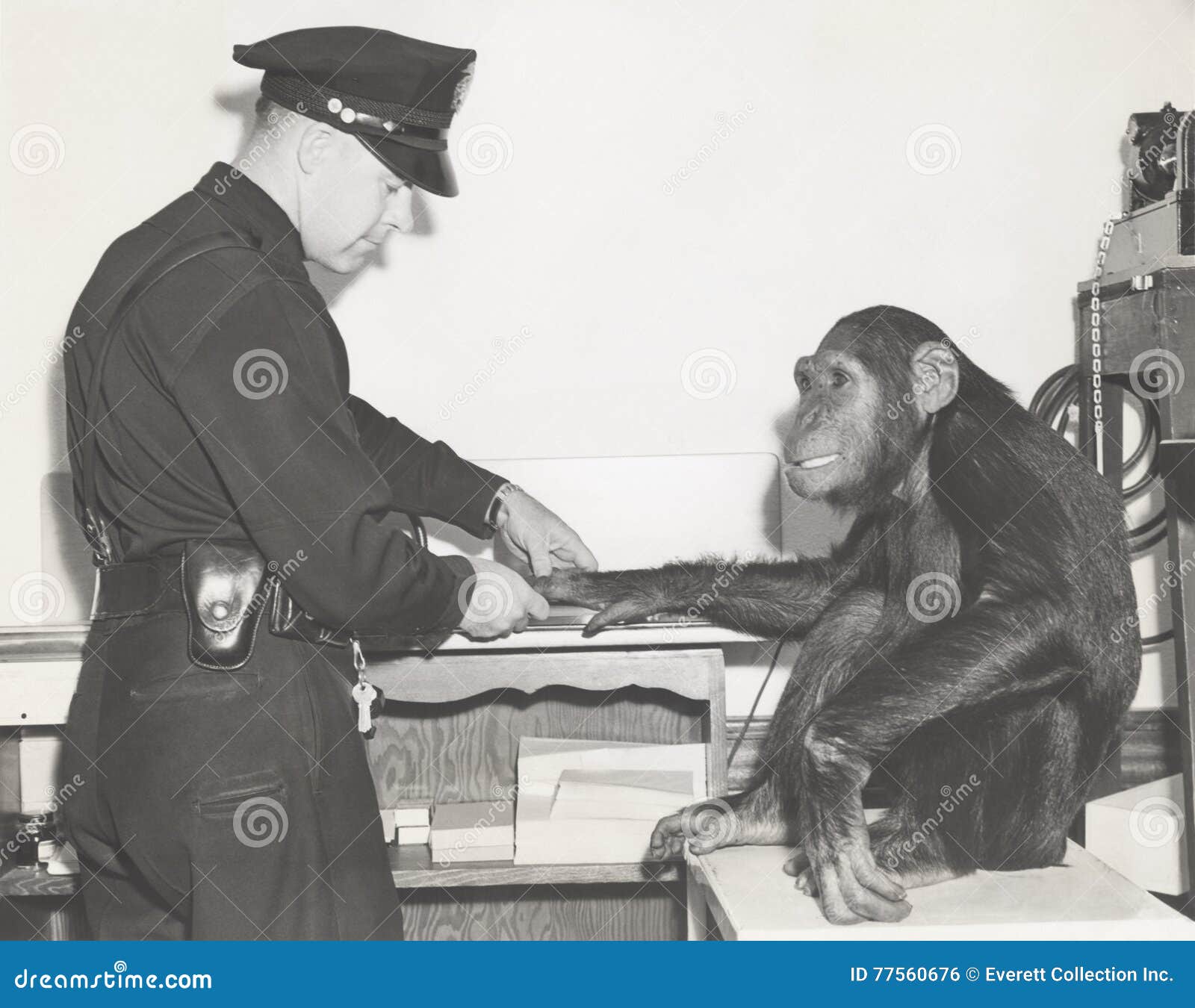 Monkey Fingerprinted by Police Officer Stock Photo - Image of ball ...
