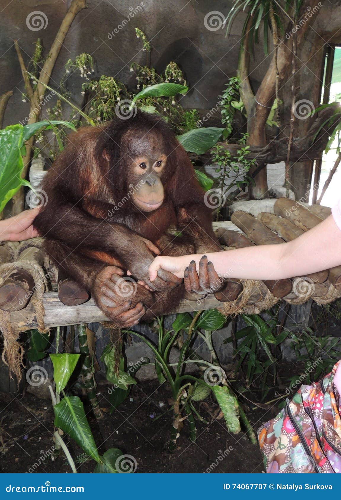 Royalty Free Images, Cartoons, Illustrations And Photos Designed By ...