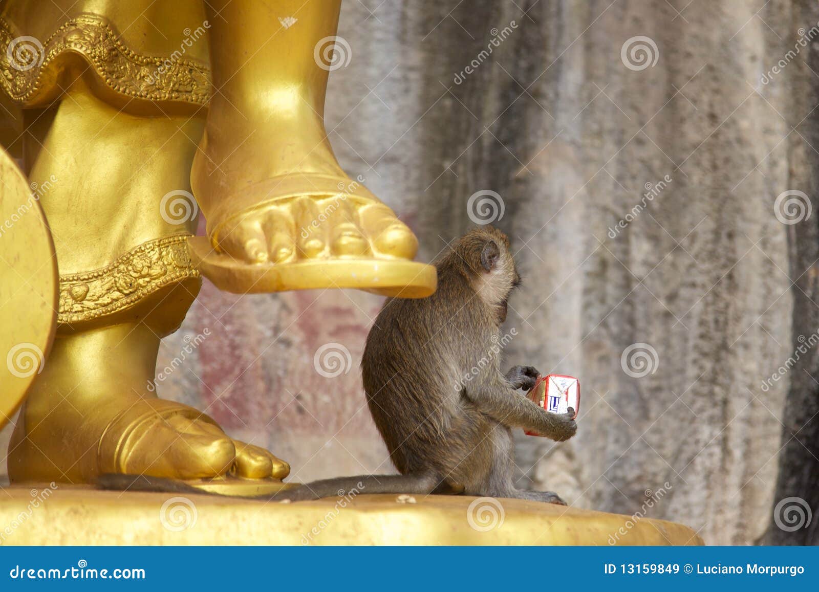 Monkey by a Golden Chinese God Statue Stock Image - Image of pack ...