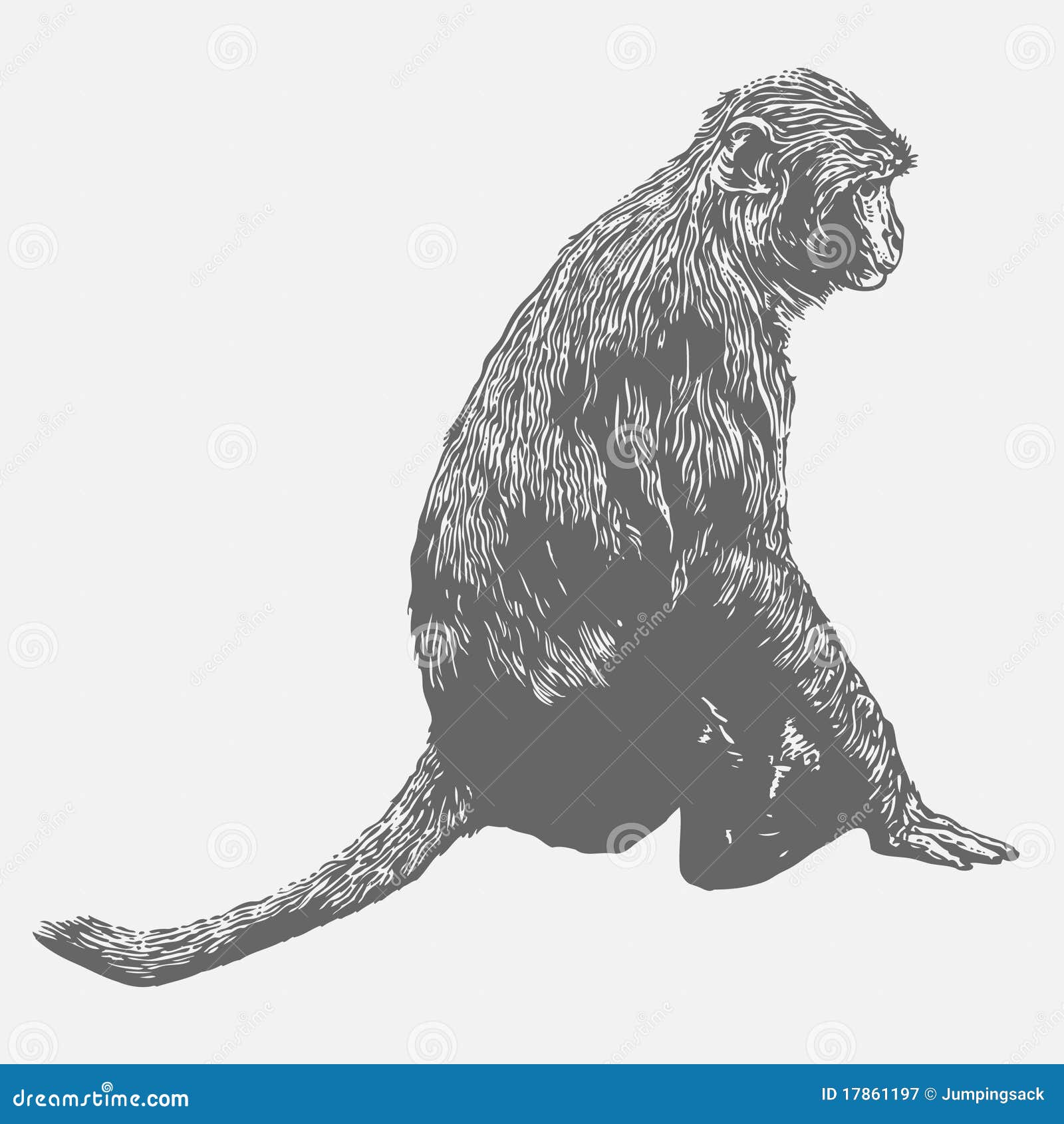 Monkey, graffiti style stock vector. Illustration of design - 17861197