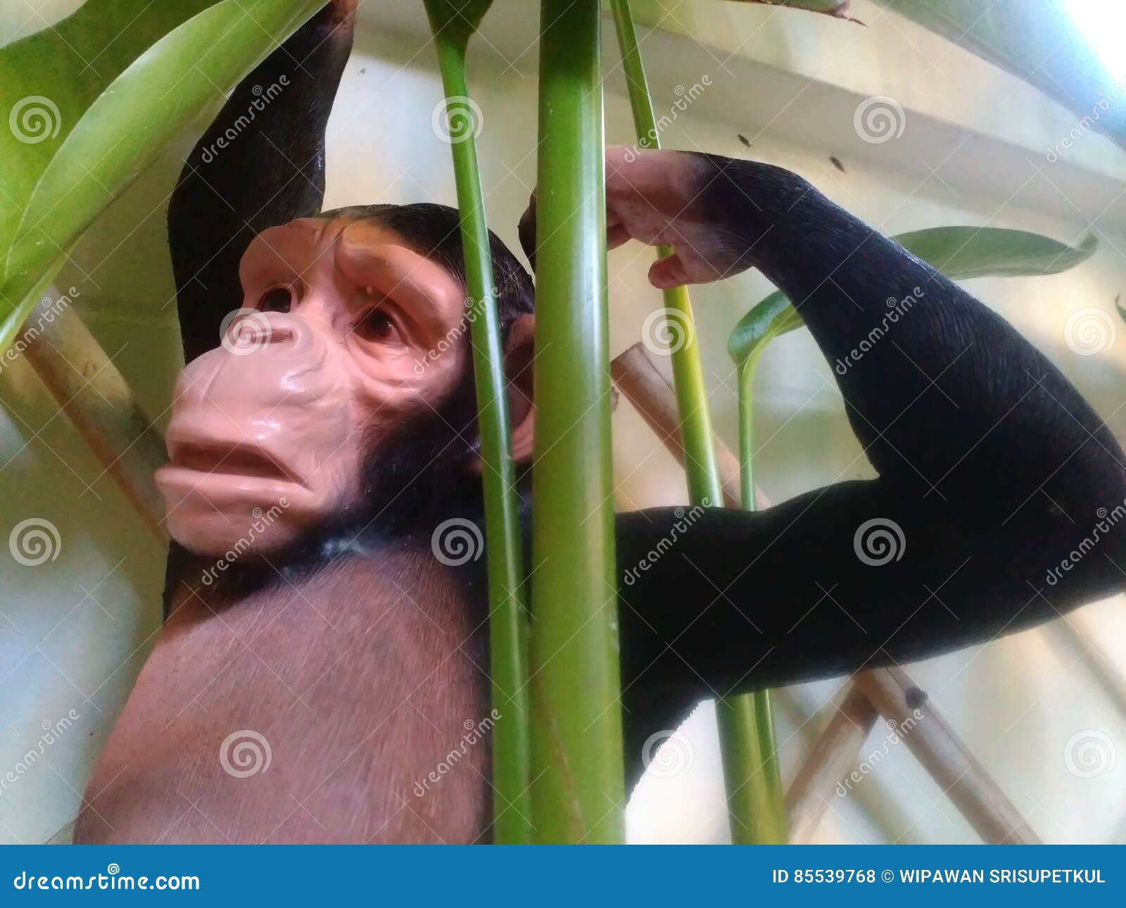 Monkey has question stock photo. Image of garden, statue - 85539768