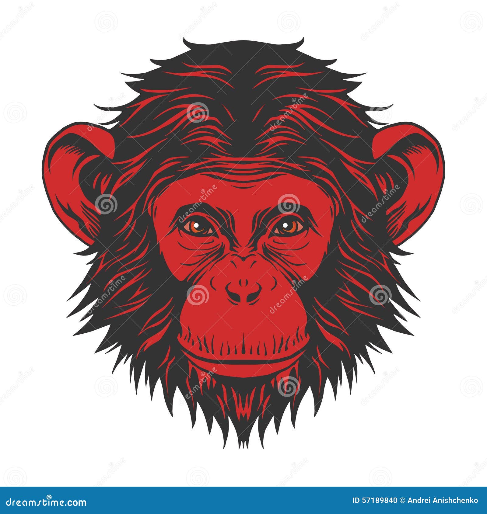 Monkey Head Stock Vector - Image: 57189840 Monkey Head Stock Vector - Image: 57189840