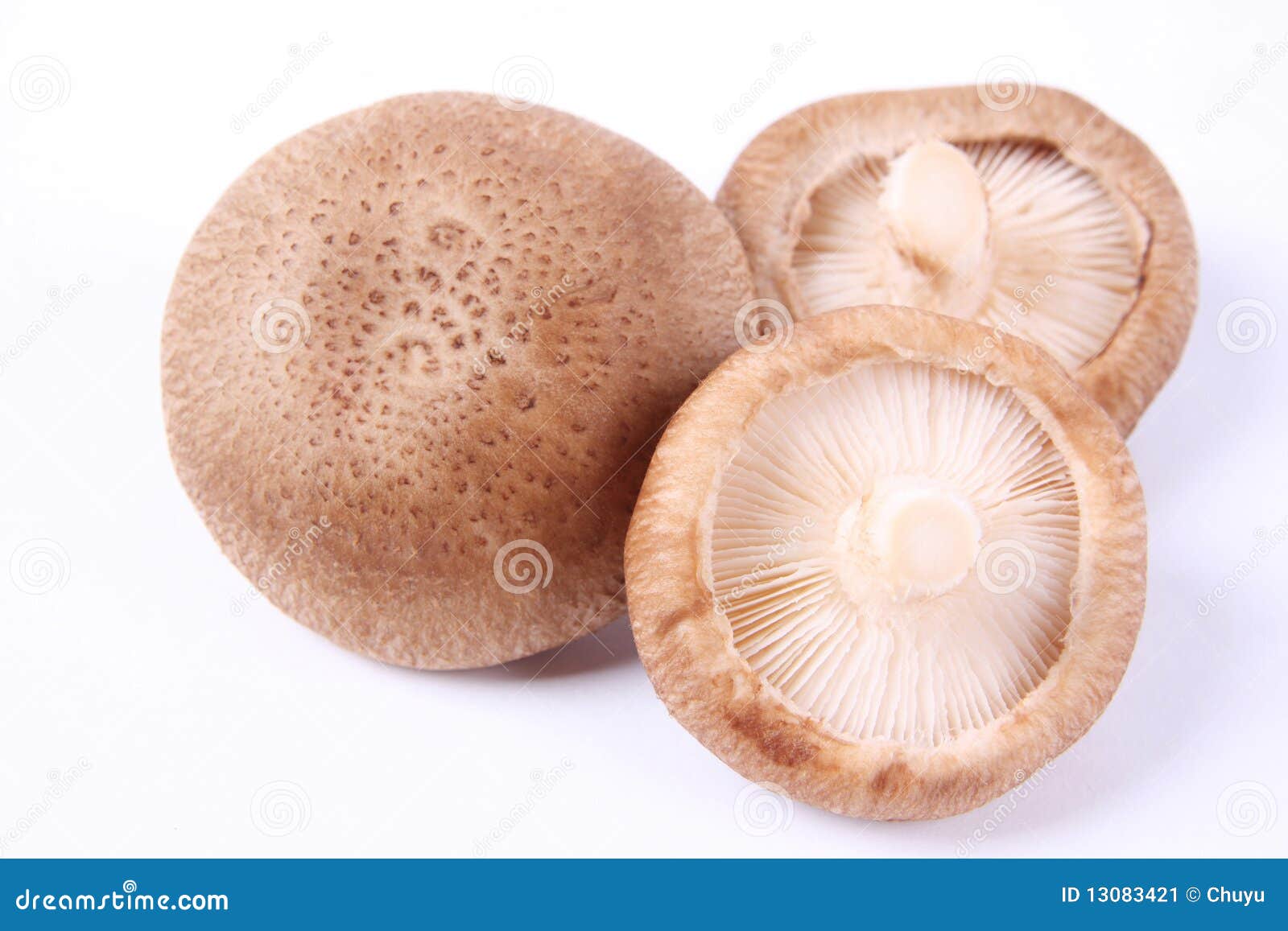 Monkey head mushroom stock image. Image of healthy, monkey - 13083421