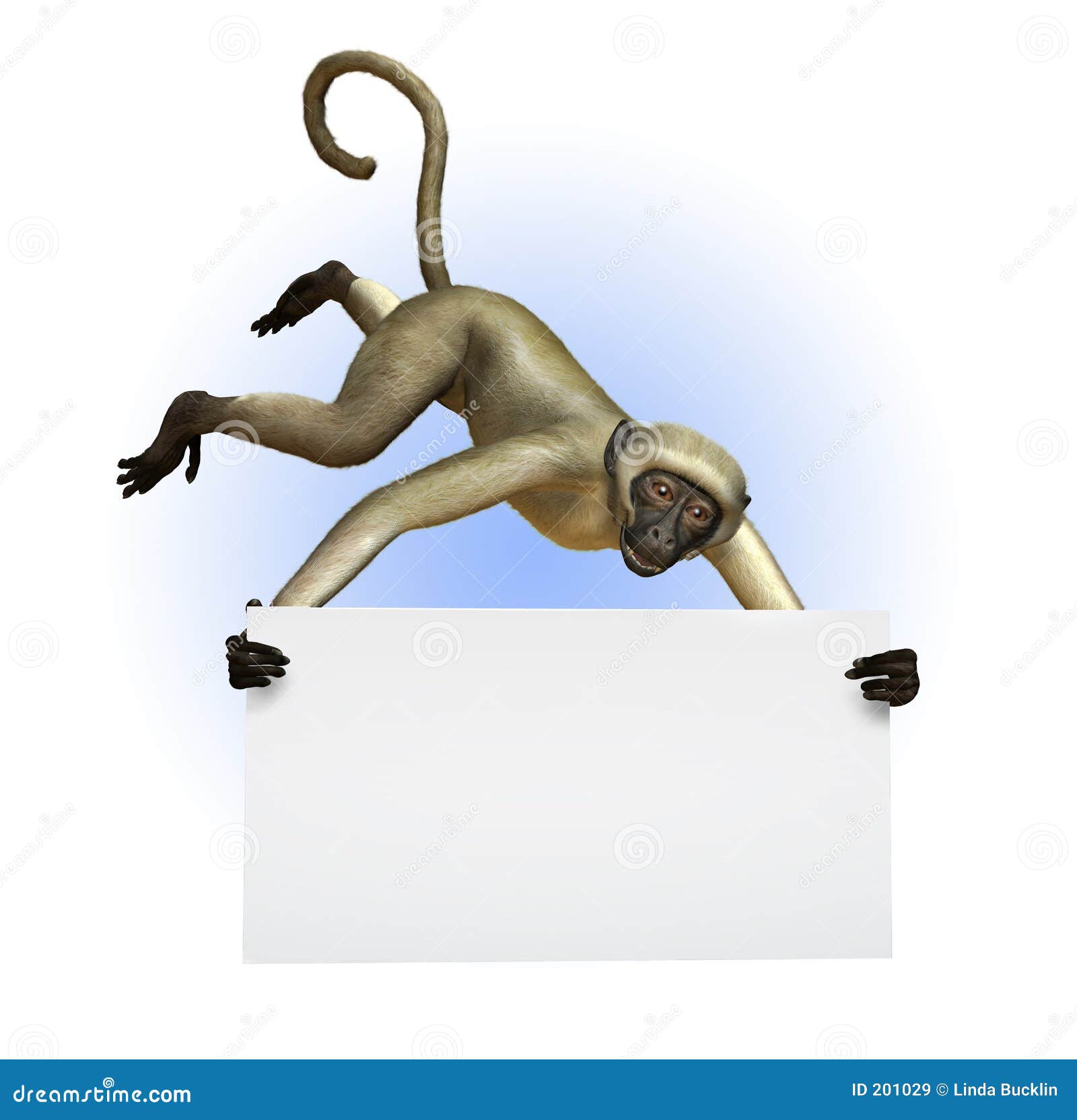 Monkey Holding a Blank Sign - Includes Clipping Path Stock Illustration ...