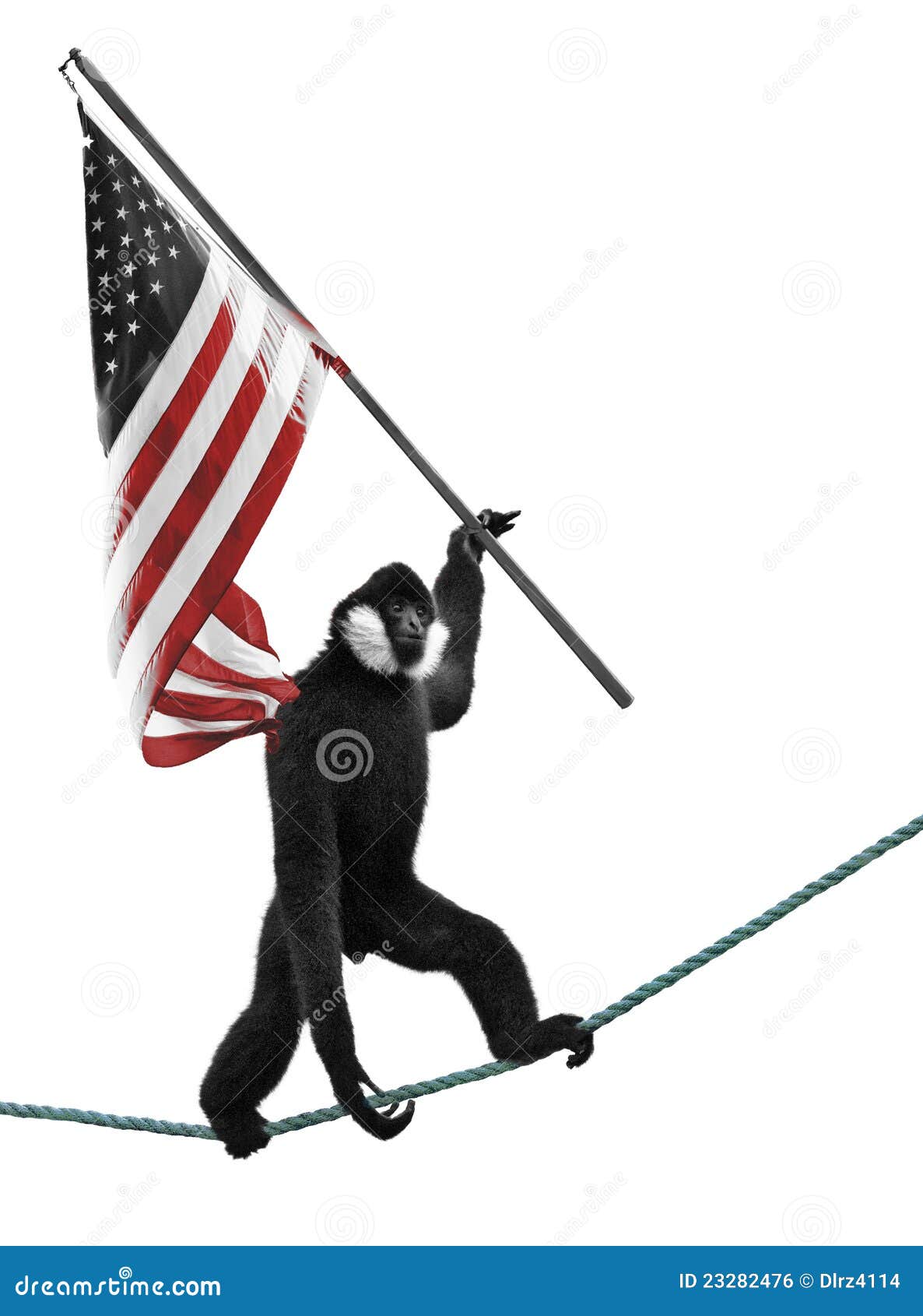 Monkey Holding Flag stock photo. Image of america, government - 23282476
