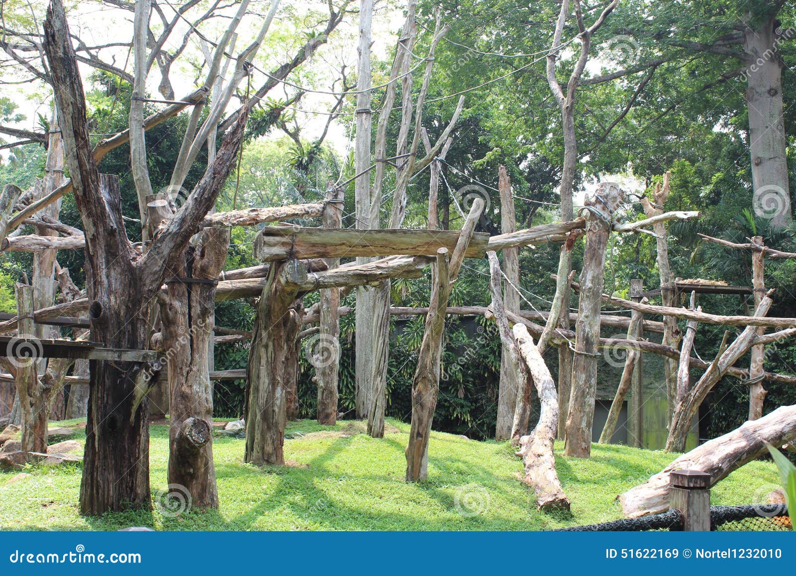 Monkey home in zoo stock image. Image of home, forest - 51622169