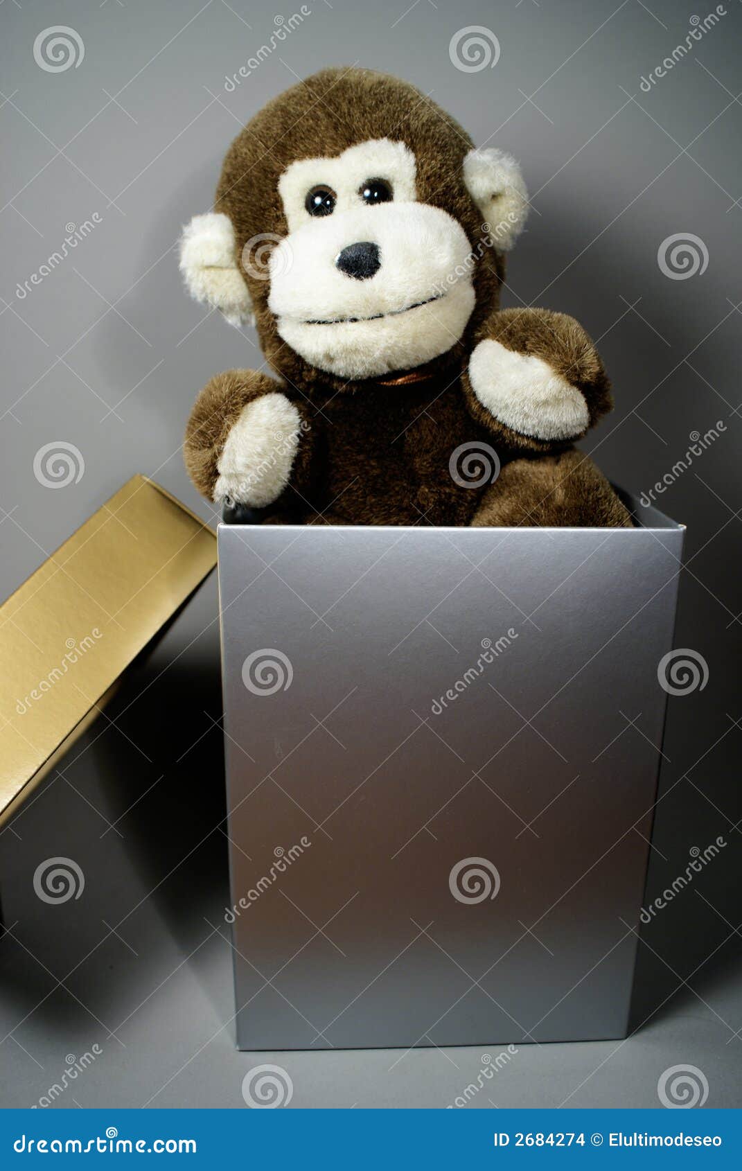 Monkey Inside A Box Picture. Image: 2684274