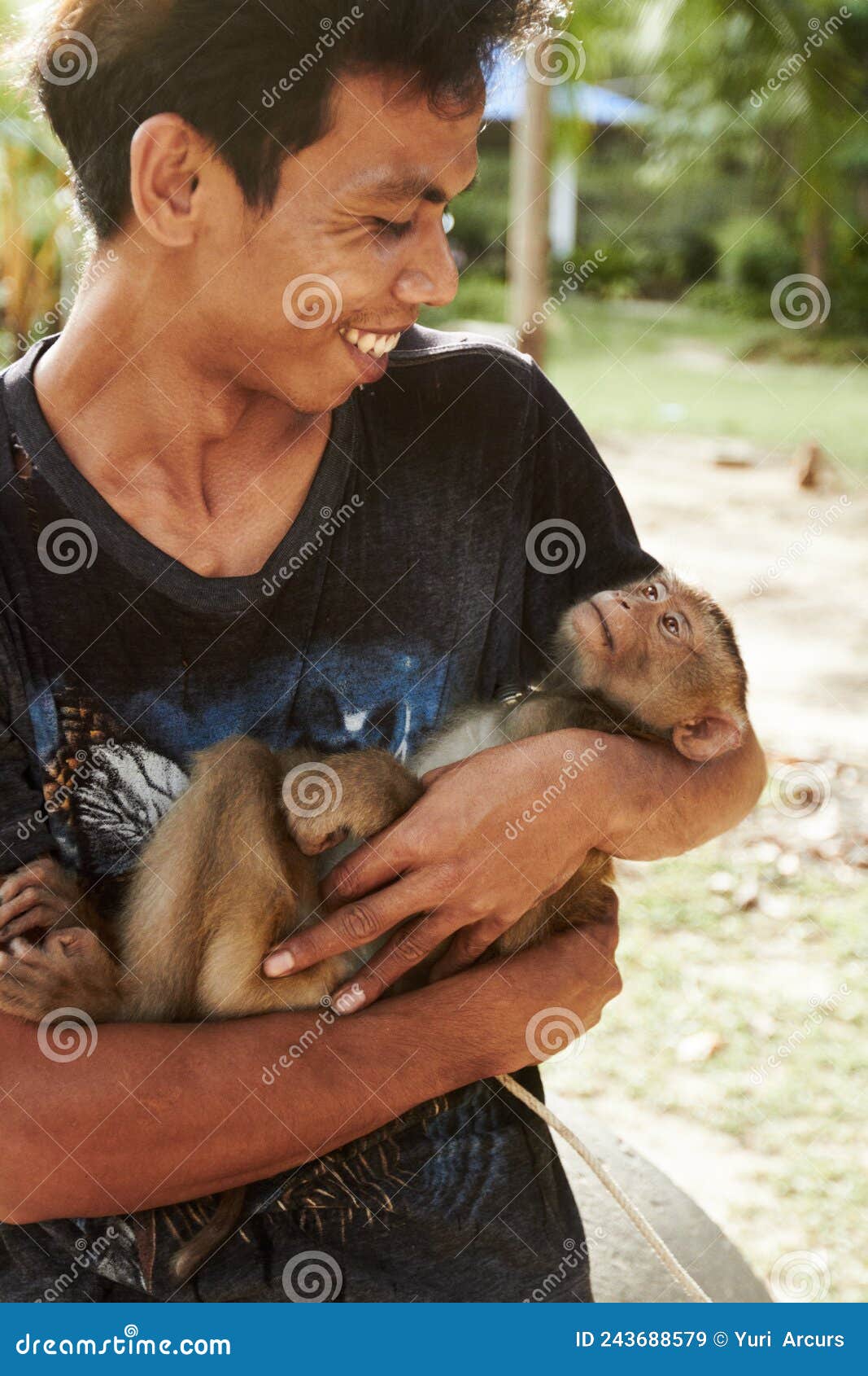 Monkey Keeper- Thailand. a Thai Macaque Being Held by His Keeper. Stock ...
