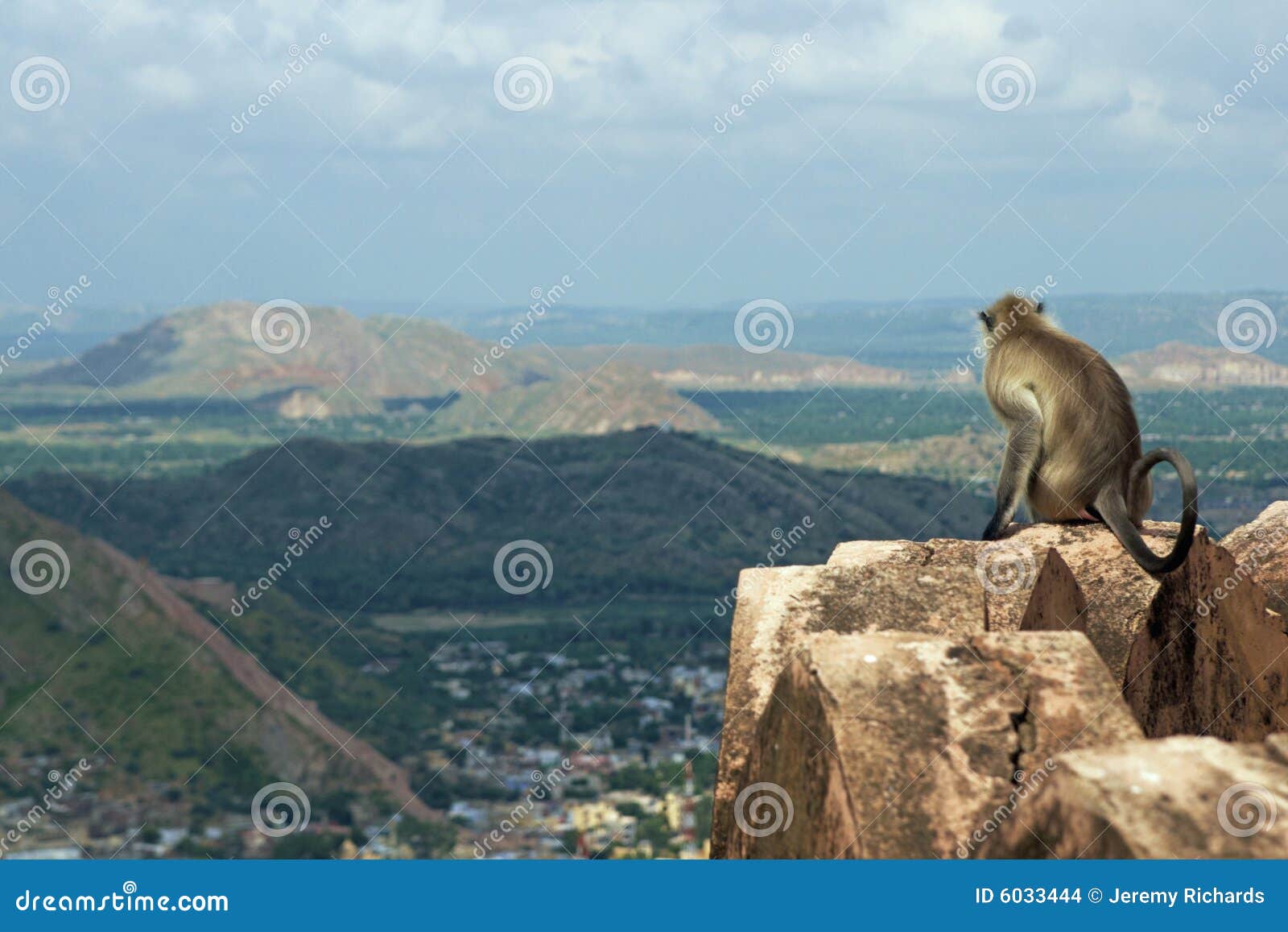 Monkey Keeping a Lookout stock photo. Image of view, castle - 6033444