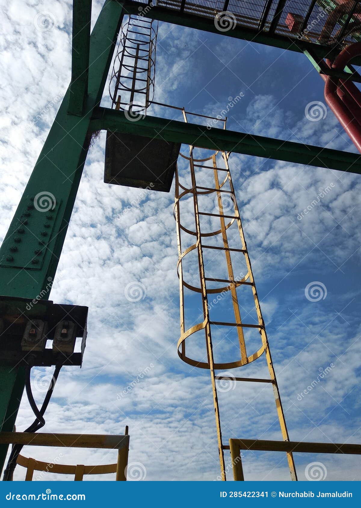 Monkey Ladder Lianas In Tropical Rainforest Royalty-Free Stock ...