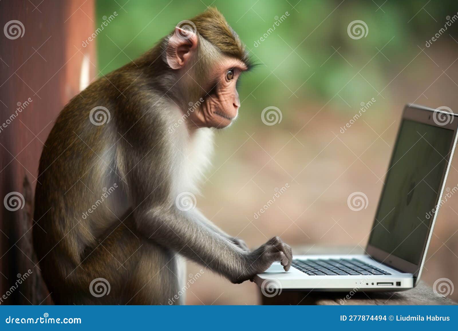 Monkey with a Laptop. Generative AI Stock Illustration - Illustration ...
