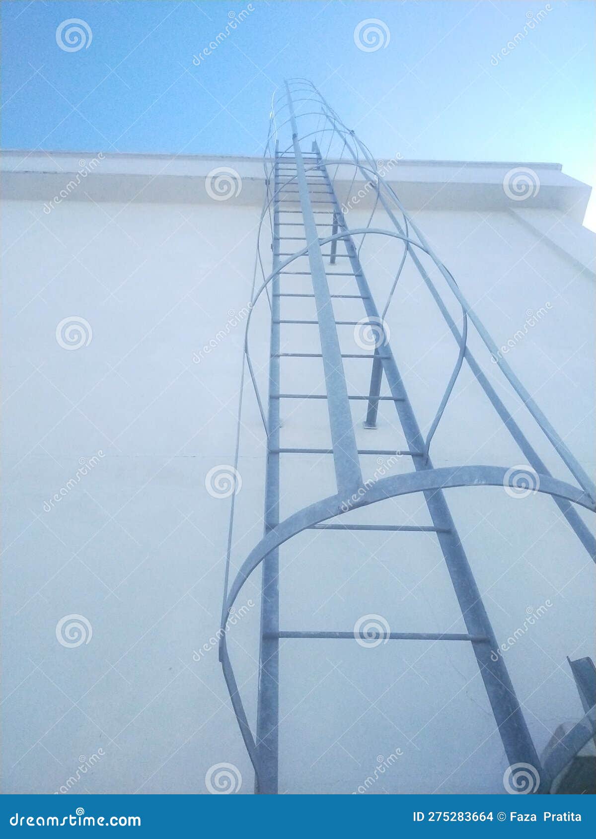 The Monkey Leader Is Threatening To Drive Away The Monkeys In The Herd ...