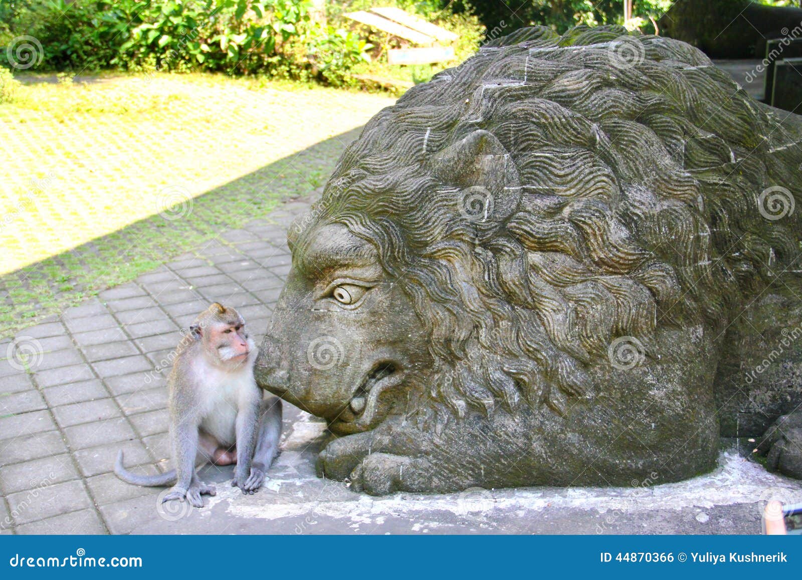 Monkey with lion statue stock photo. Image of forest - 44870366