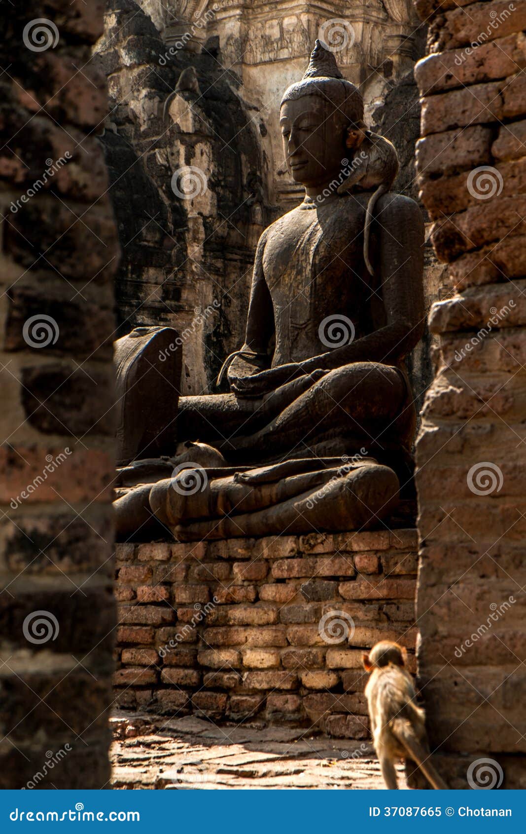 Monkey Looking Statue Buddhism Stock Image - Image of travel, tour ...