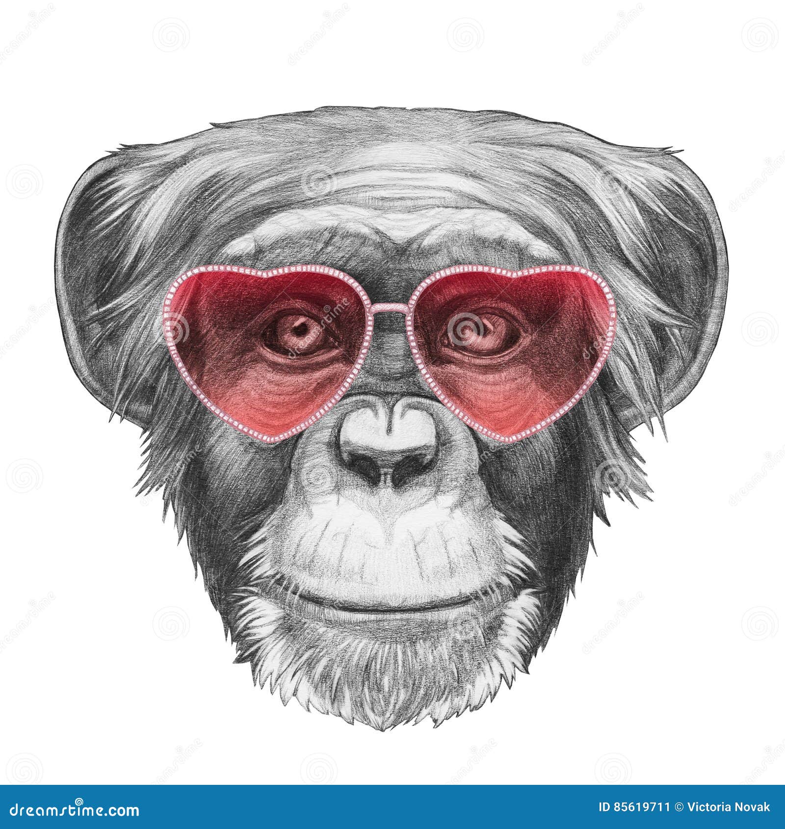 Monkey in Love! Portrait of Monkey with Heart Shaped Sunglasses. Stock ...