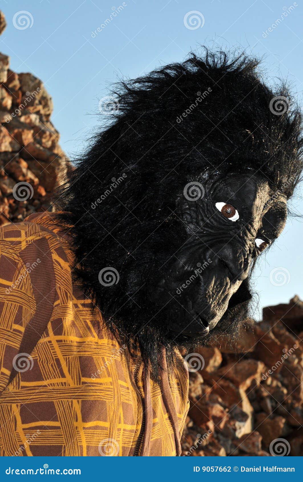 Monkey man stock photo. Image of bizarre, animal, suit - 9057662