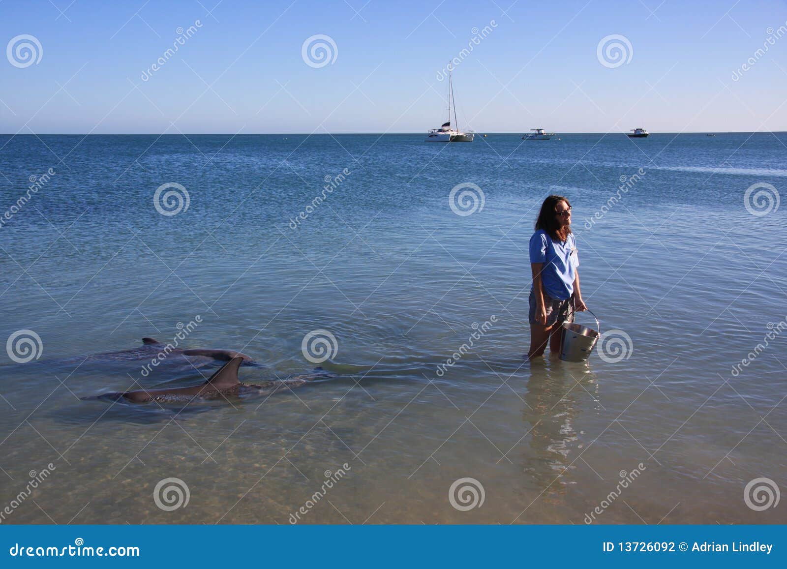 Monkey Mia - Western Australia Editorial Photography - Image of ...