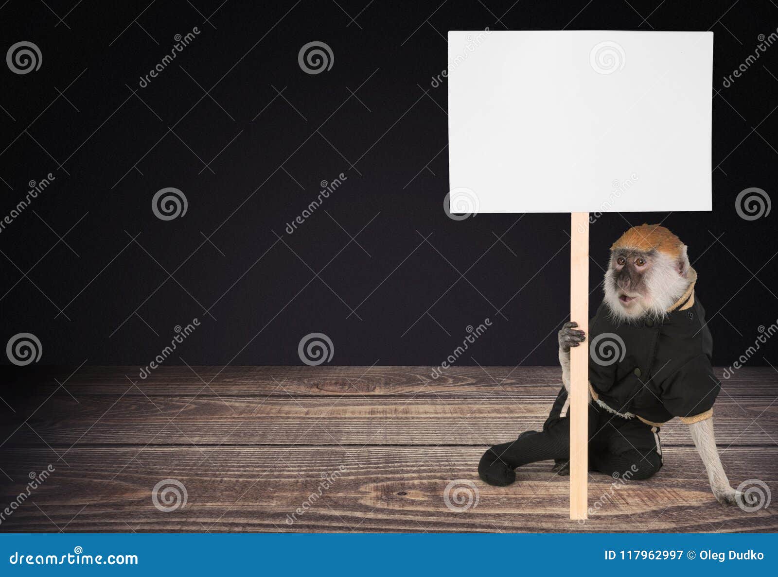 Monkey stock image. Image of paper, greeting, monkey - 117962997