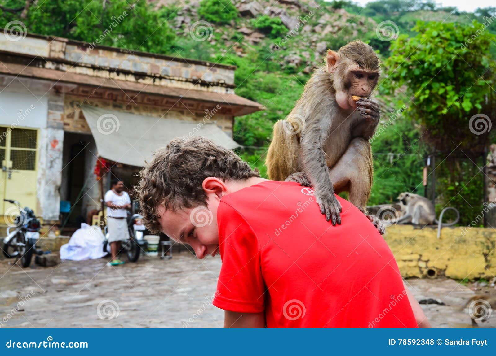 Monkey on my Back editorial stock photo. Image of tourism - 78592348