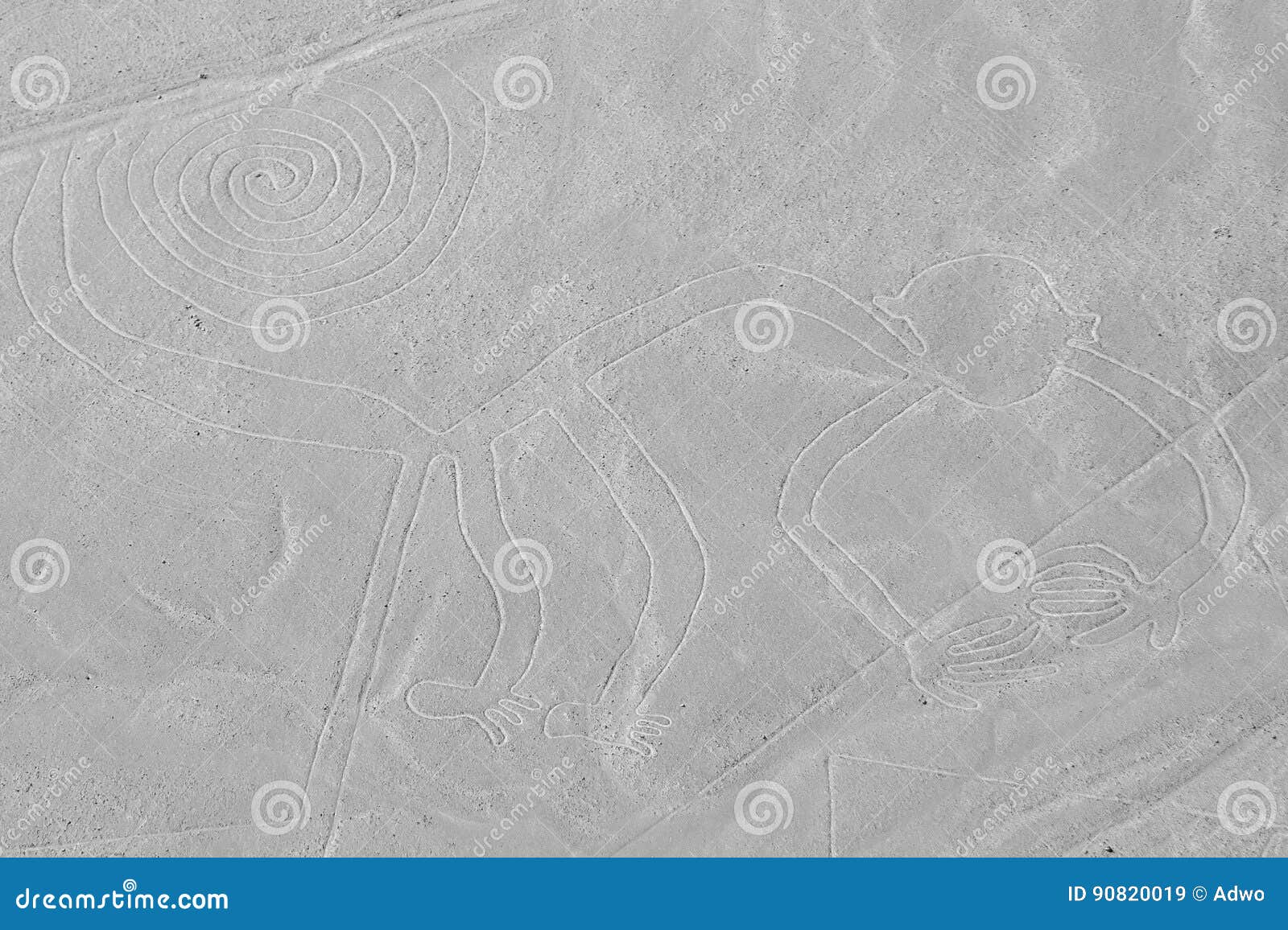 The Monkey - Nasca Lines - Peru Stock Image - Image of dune, geoglyph ...