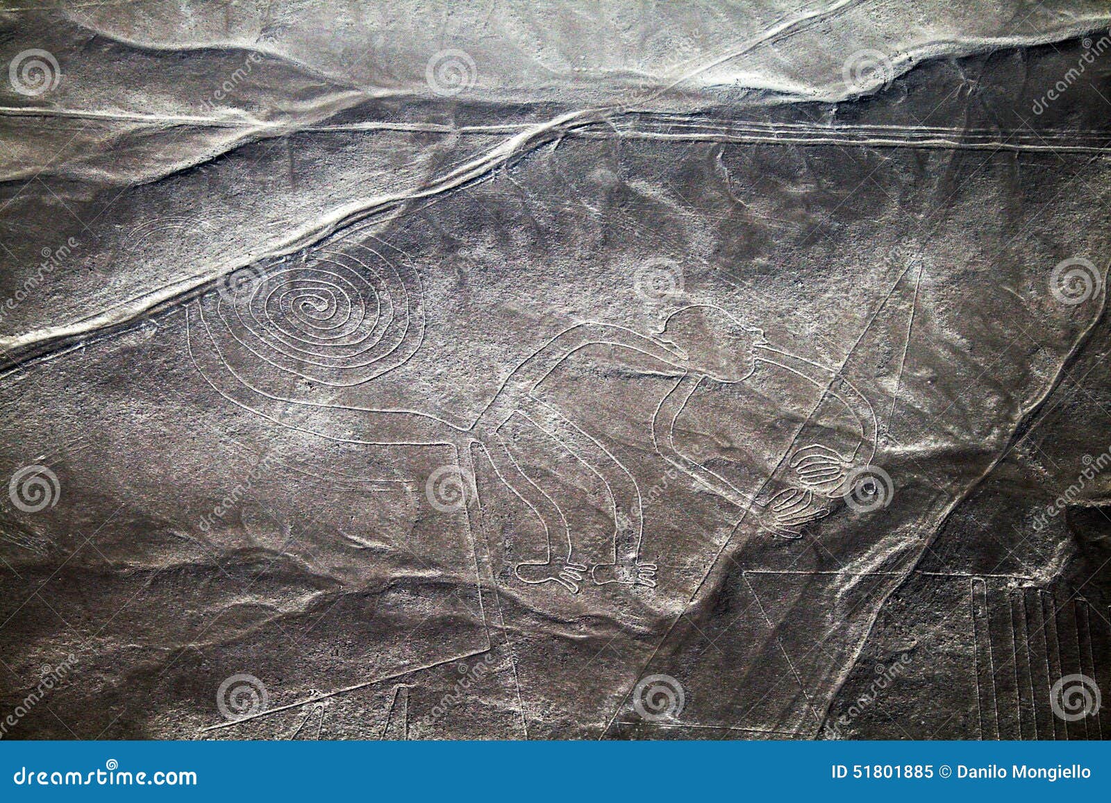 Monkey nazca stock image. Image of view, line, history - 51801885