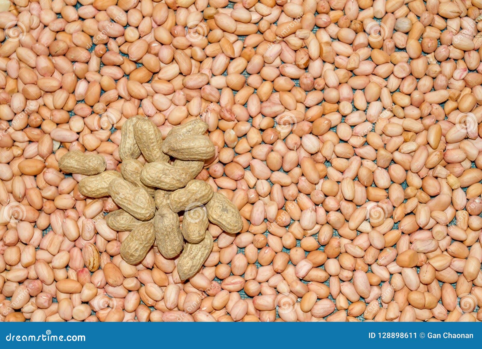 Monkey Nut-Close Up View of Peanut or Groundnut. Stock Image - Image of ...