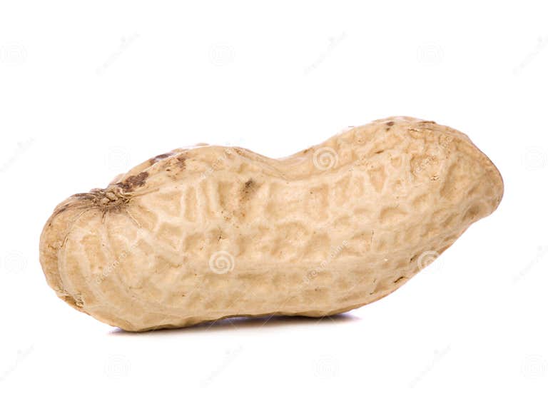 Monkey nut stock image. Image of background, healthy - 34138121