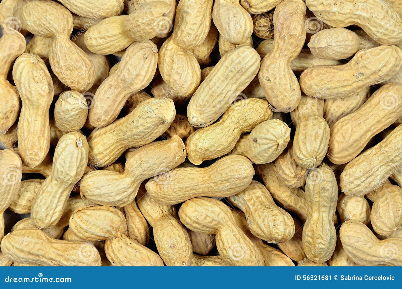 Monkey Nuts stock image. Image of goobers, peanuts, goober - 56321681