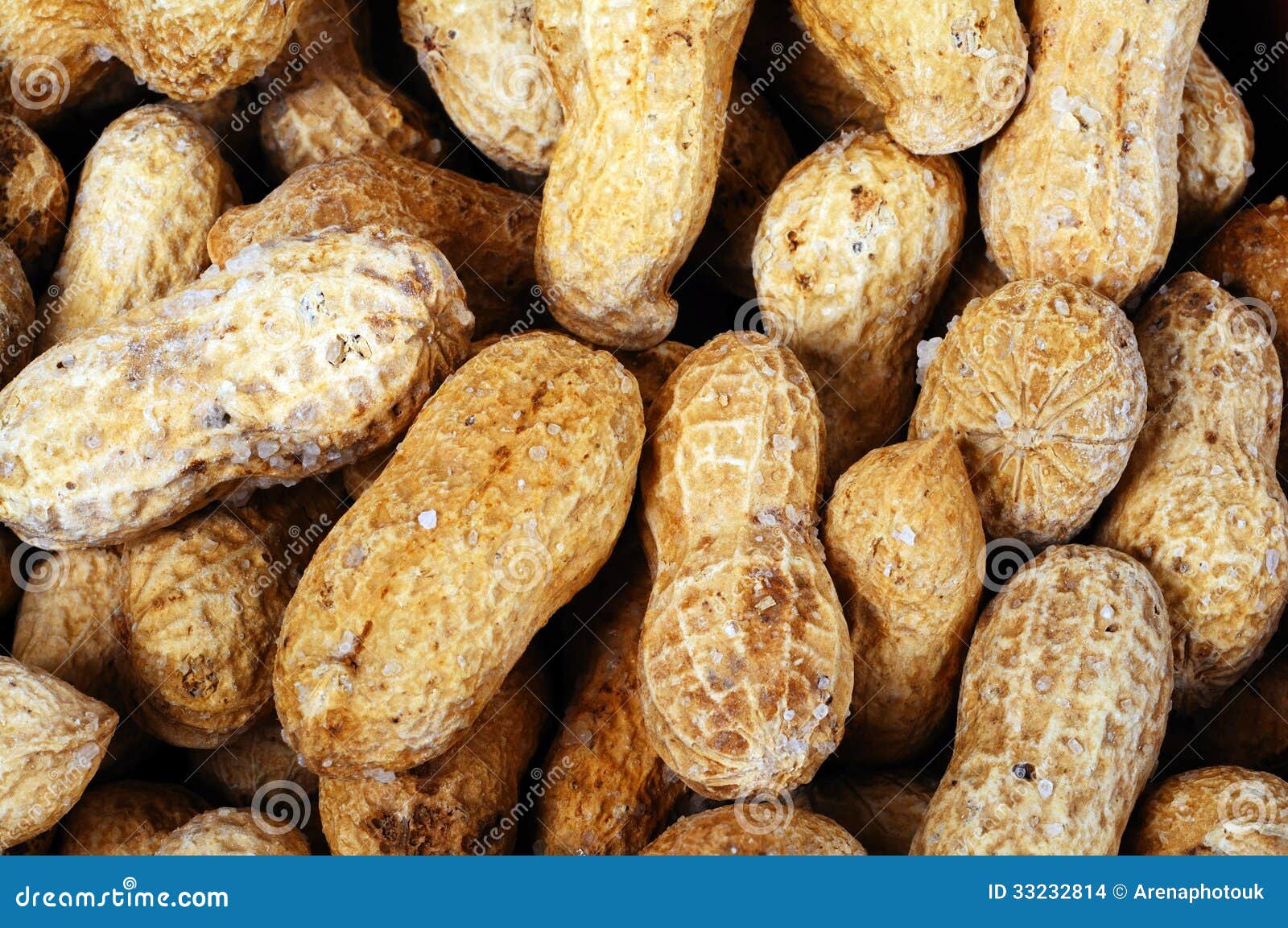 Monkey nuts in shells. stock photo. Image of food, peanut - 33232814