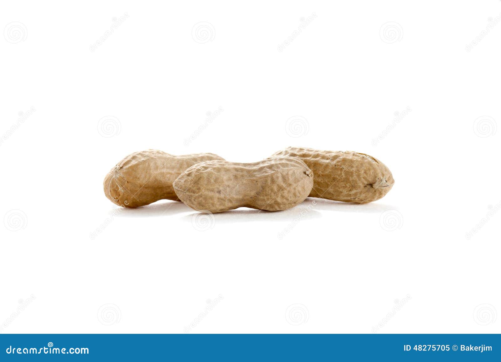Monkey Nuts In Shells Royalty-Free Stock Image | CartoonDealer.com ...