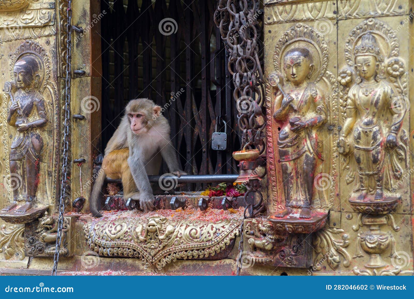 Monkey on an Ornate Temple Structure with Intricate Designs and ...