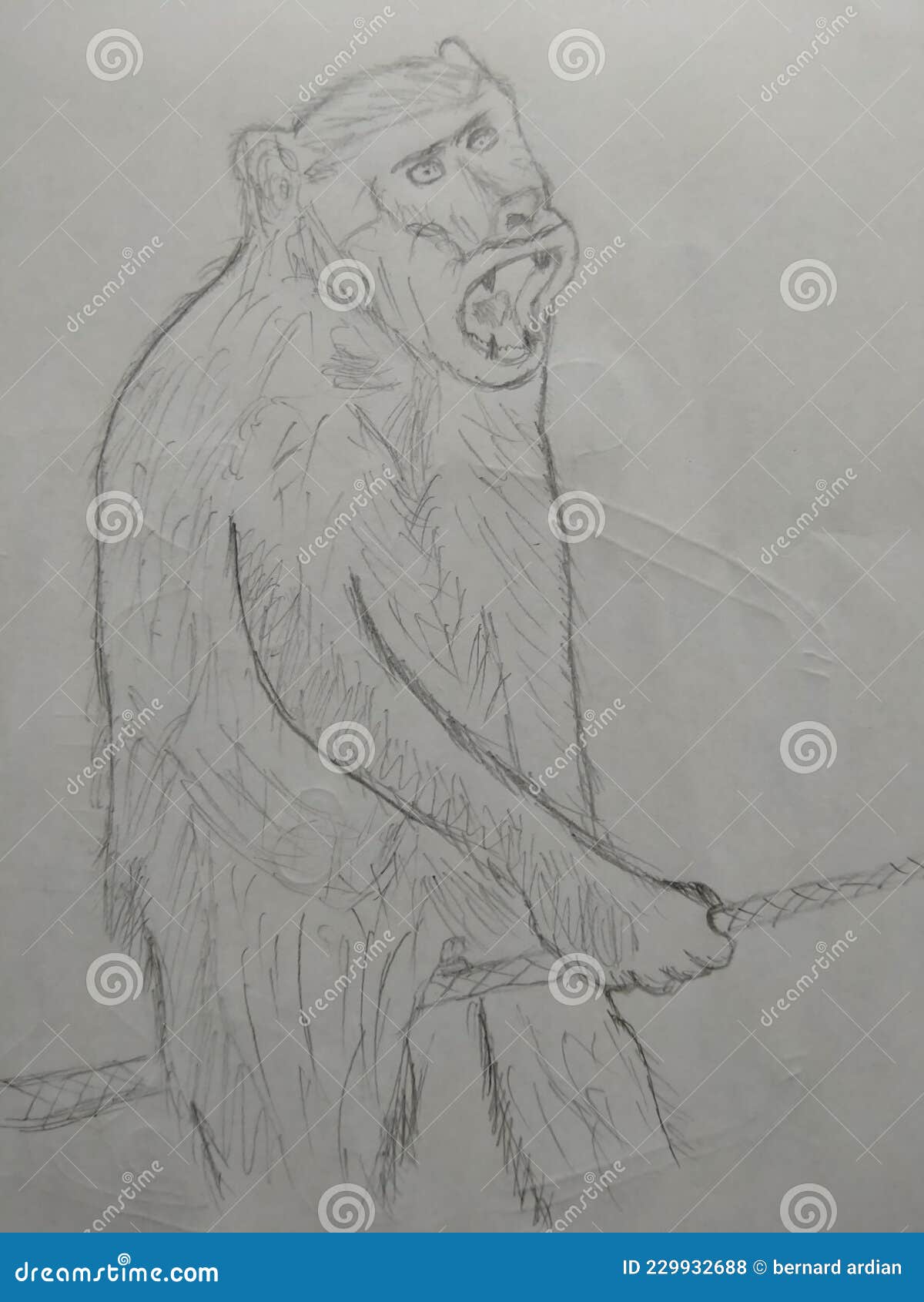 Monkey in Pain from Being Pinched Stock Photo - Image of person, sketch ...