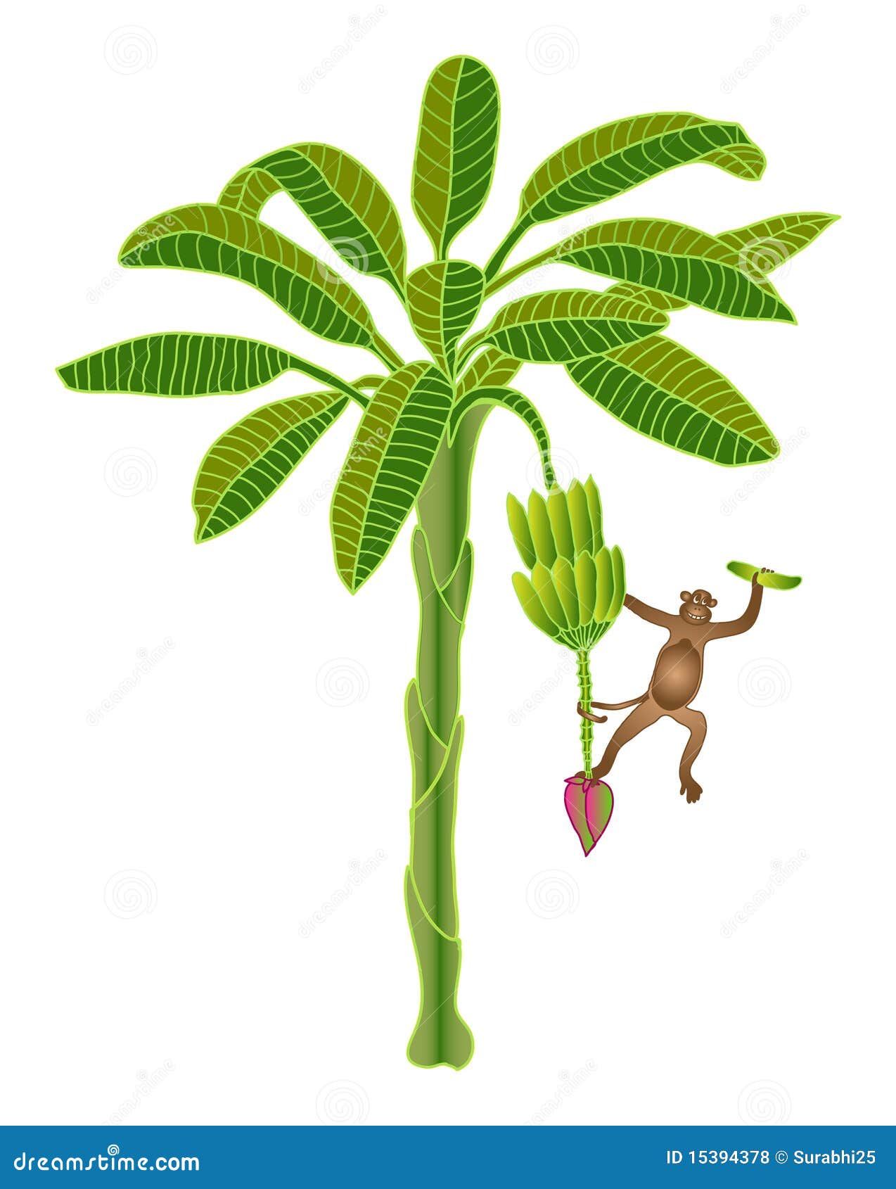 Monkey on palm tree stock vector. Illustration of plant - 15394378