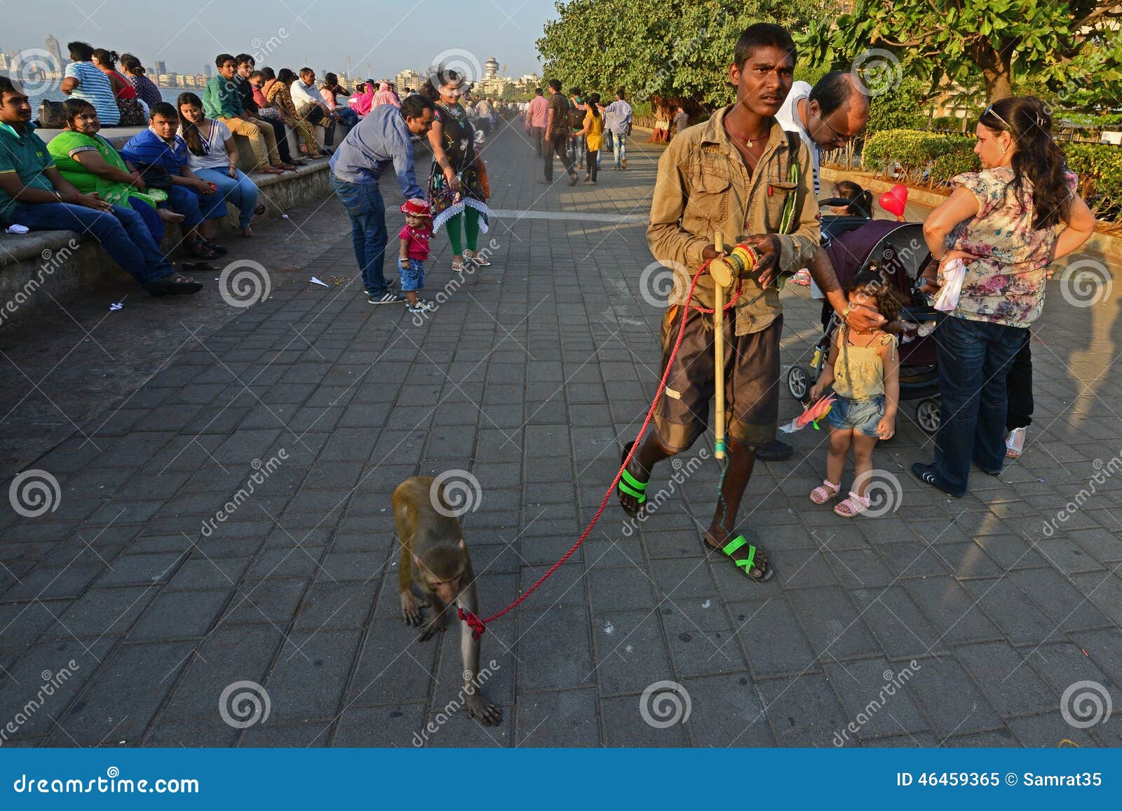 Monkey Player editorial image. Image of open, variety - 46459365