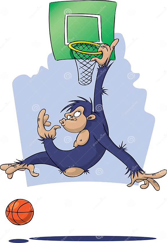 Monkey playing Basketball stock vector. Illustration of bouncing - 4976602